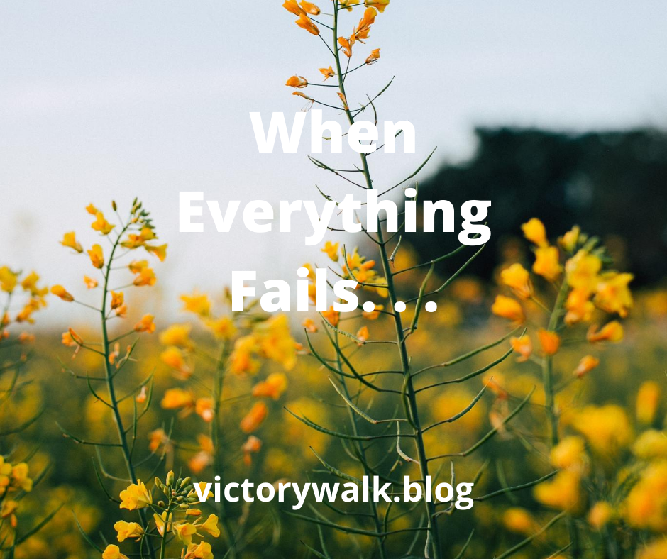 When Everything Fails. . . – Victory Walk