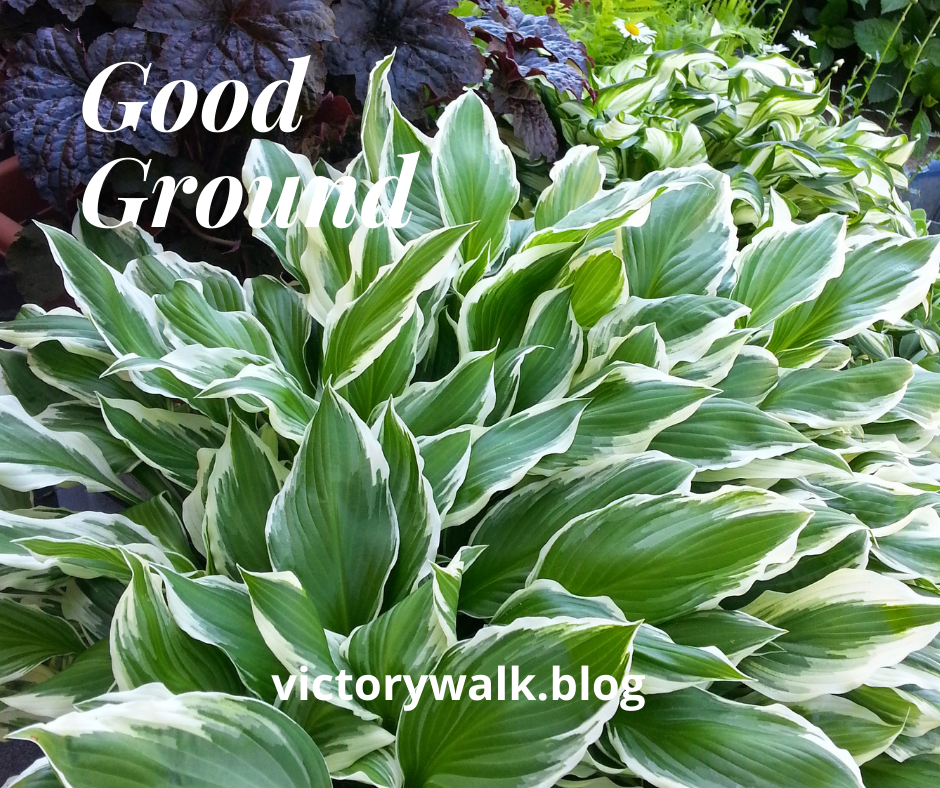 Good Ground – Victory Walk